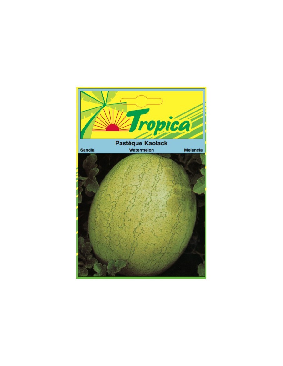 Graines de Pastèque Kaolack - Tropica