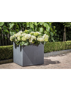 Pot, Bac et Jardinière (2)